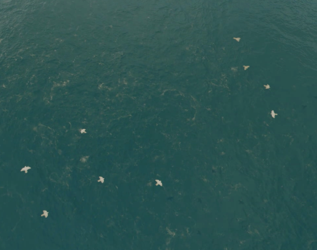 Installation 00 bird - Halopedia, the Halo wiki