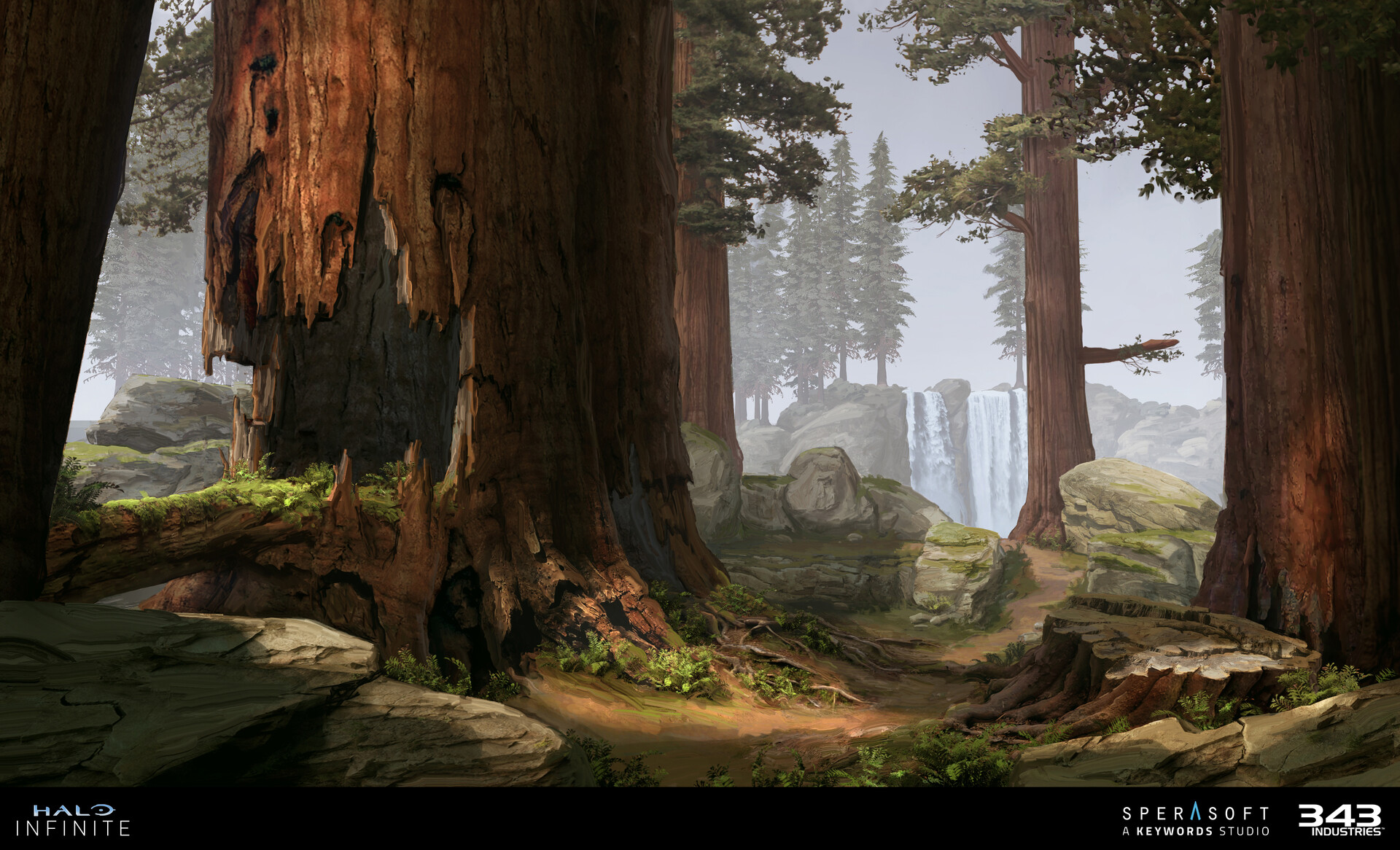 File:HINF Concept ForestHollowTree.jpg - Halopedia, the Halo wiki