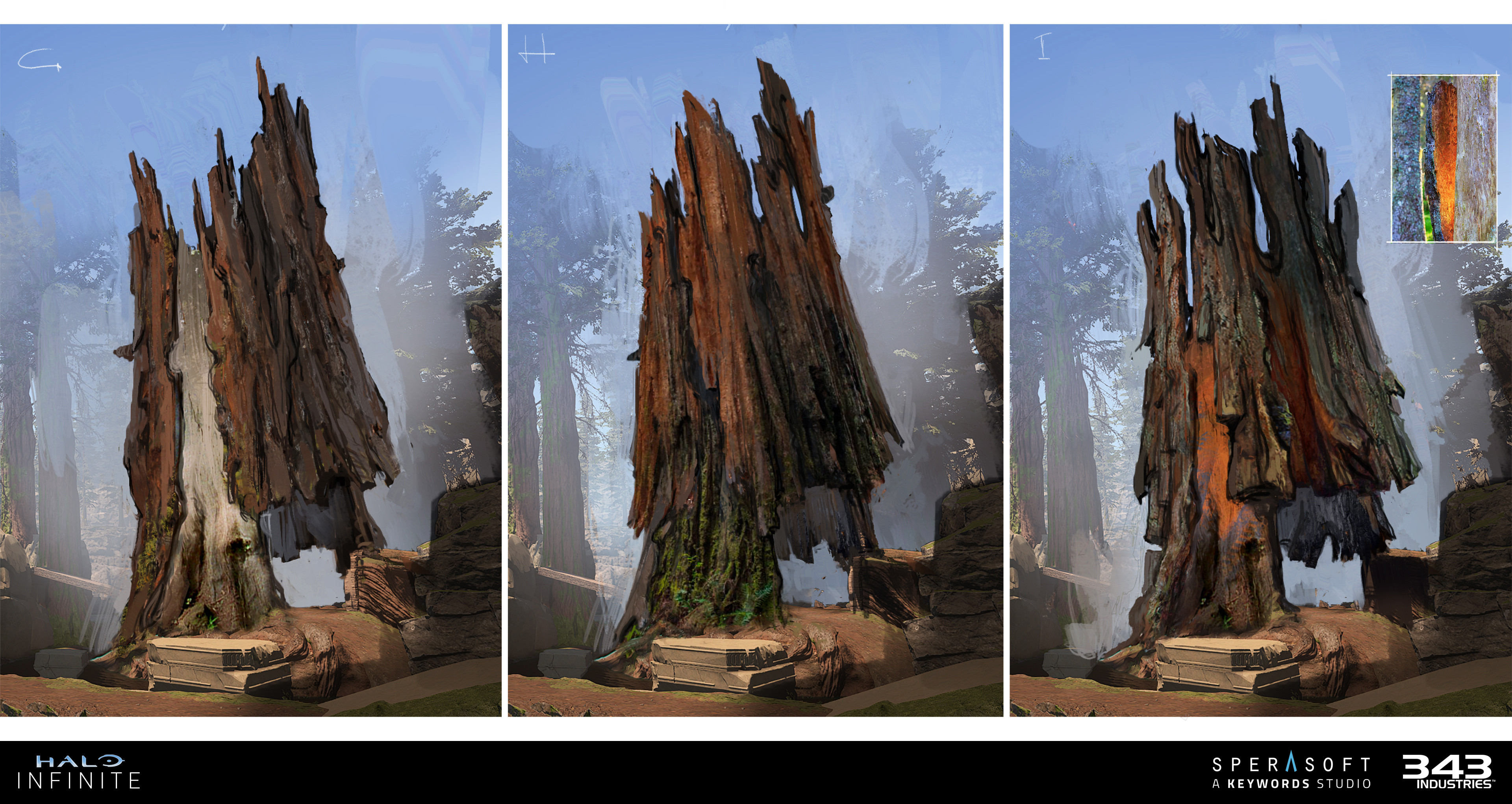 File:HINF Concept ForestHollowTree3.jpg - Halopedia, the Halo wiki