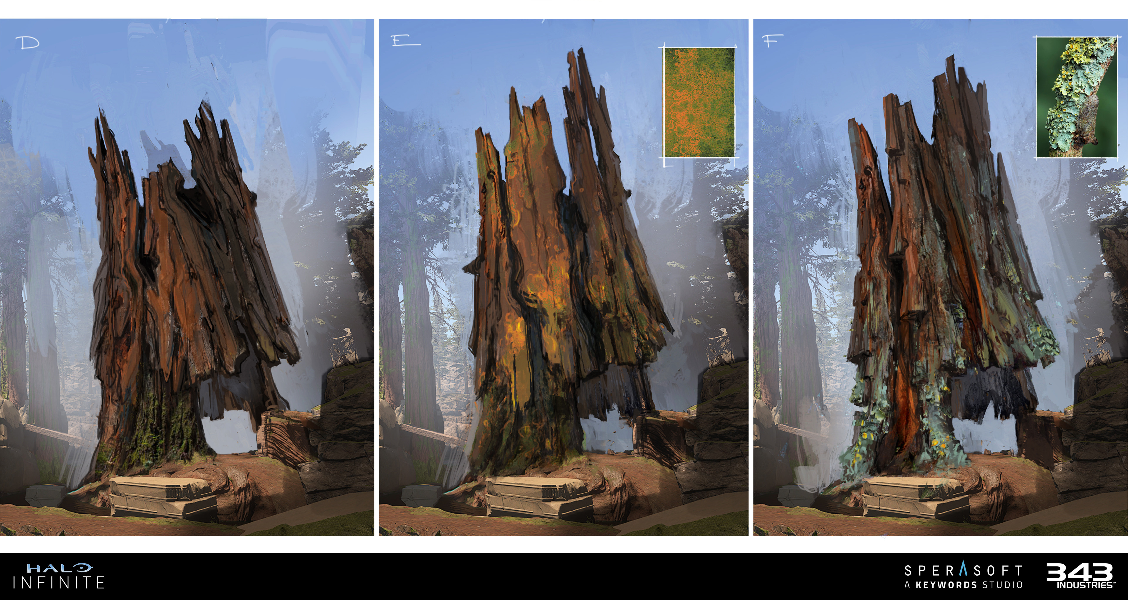 File:HINF Concept ForestHollowTree2.jpg - Halopedia, the Halo wiki