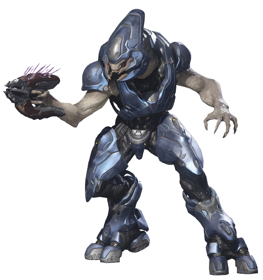 Sangheili Storm - Halopedia, the Halo wiki