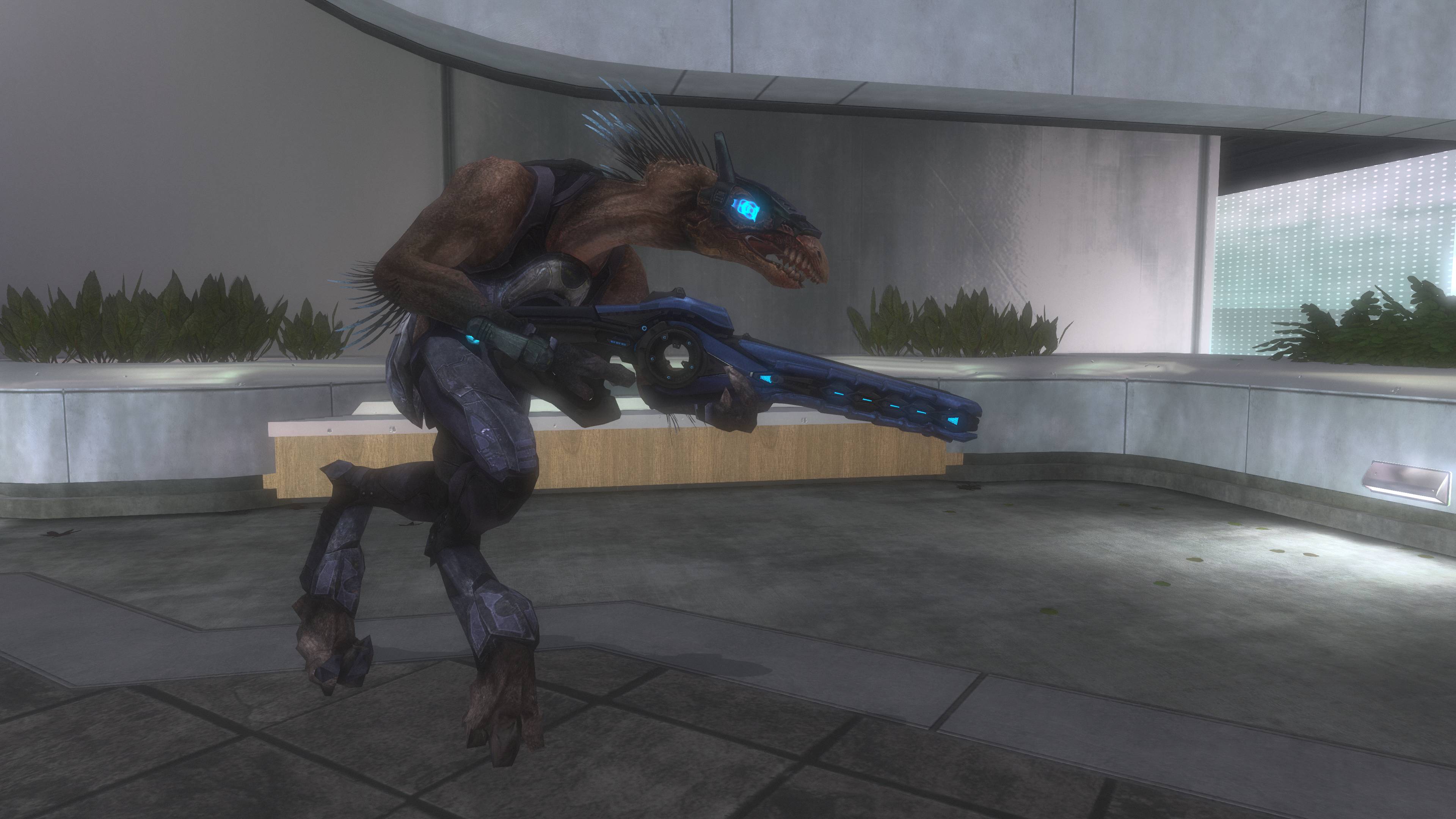 File:Reach Jackal Sniper New Alexandria-1.jpg - Halopedia, the Halo wiki