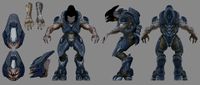 Sangheili Storm - Halopedia, the Halo wiki