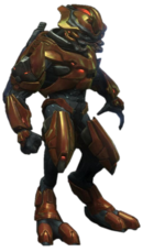 Sangheili Major - Halopedia, the Halo wiki