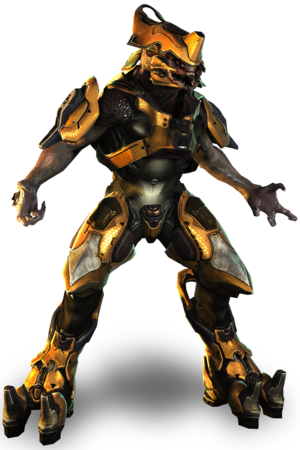 Sangheili Warrior - Halopedia, the Halo wiki