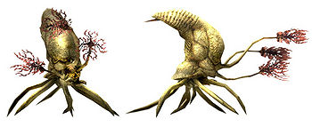 Flood infection form - Halopedia, the Halo encyclopedia