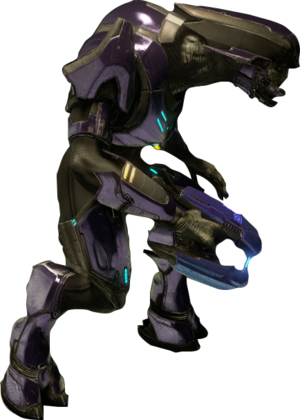 Special Operations Sangheili - Halopedia, the Halo encyclopedia