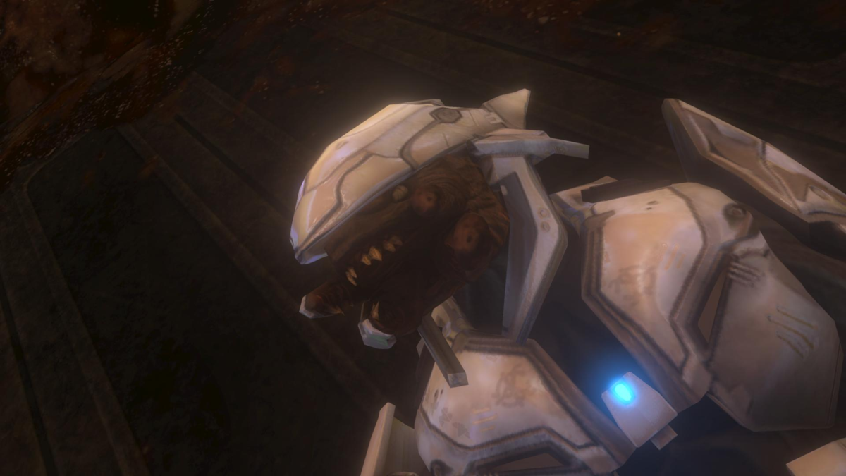 Rtas 'Vadum in crashed Flood ship - Halopedia, the Halo wiki