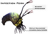 Pod infector - Halopedia, the Halo wiki