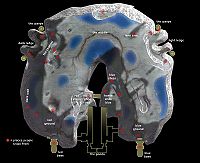 Sidewinder - Multiplayer map - Halo: Combat Evolved - Halopedia, the ...