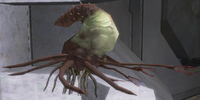 Pod infector - Halopedia, the Halo wiki
