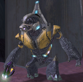 Unggoy - Species - Halopedia, the Halo wiki