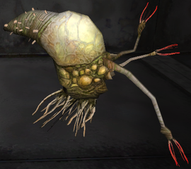 Pod infector - Halopedia, the Halo wiki