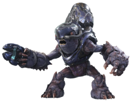 Unggoy Storm - Halopedia, the Halo encyclopedia