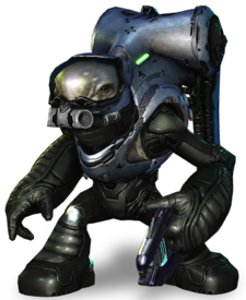 Unggoy Ranger - Halopedia, the Halo encyclopedia