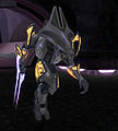 Covenant Honor Guard - Halopedia, the Halo wiki