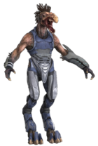 Kig-Yar - Halopedia, the Halo encyclopedia