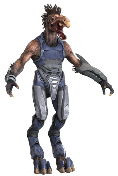 File:H2A CinematicRender Jackal-FrontView.png - Halopedia, the Halo wiki