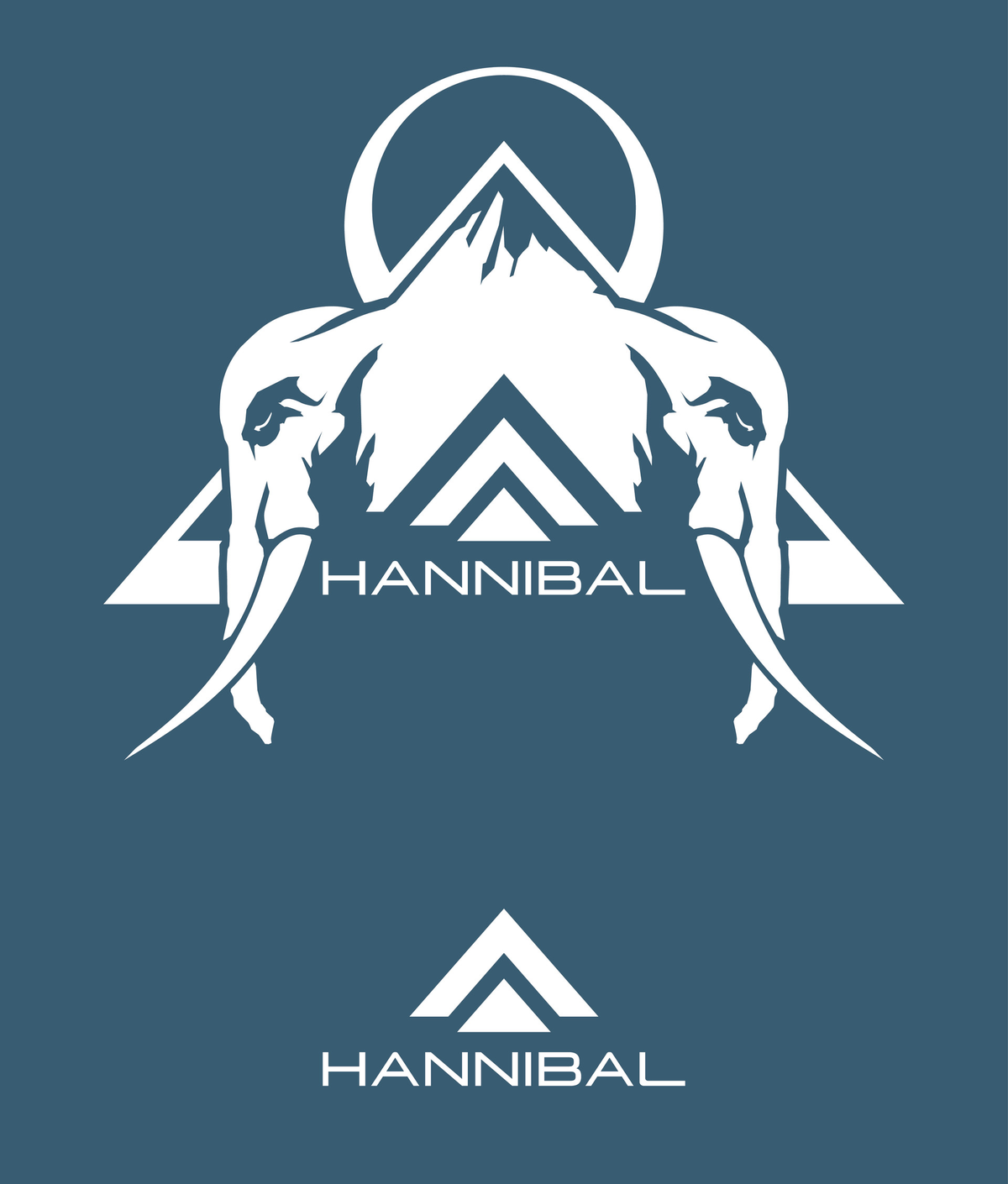 Hannibal Weapon Systems - Halopedia, the Halo wiki